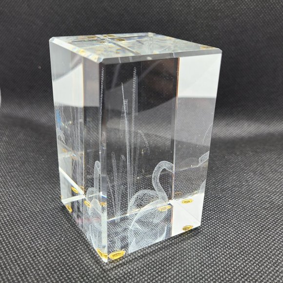 Jaffa | Accents | Laser Image In Crystal 3d Swan In Marsh Paperweight ...